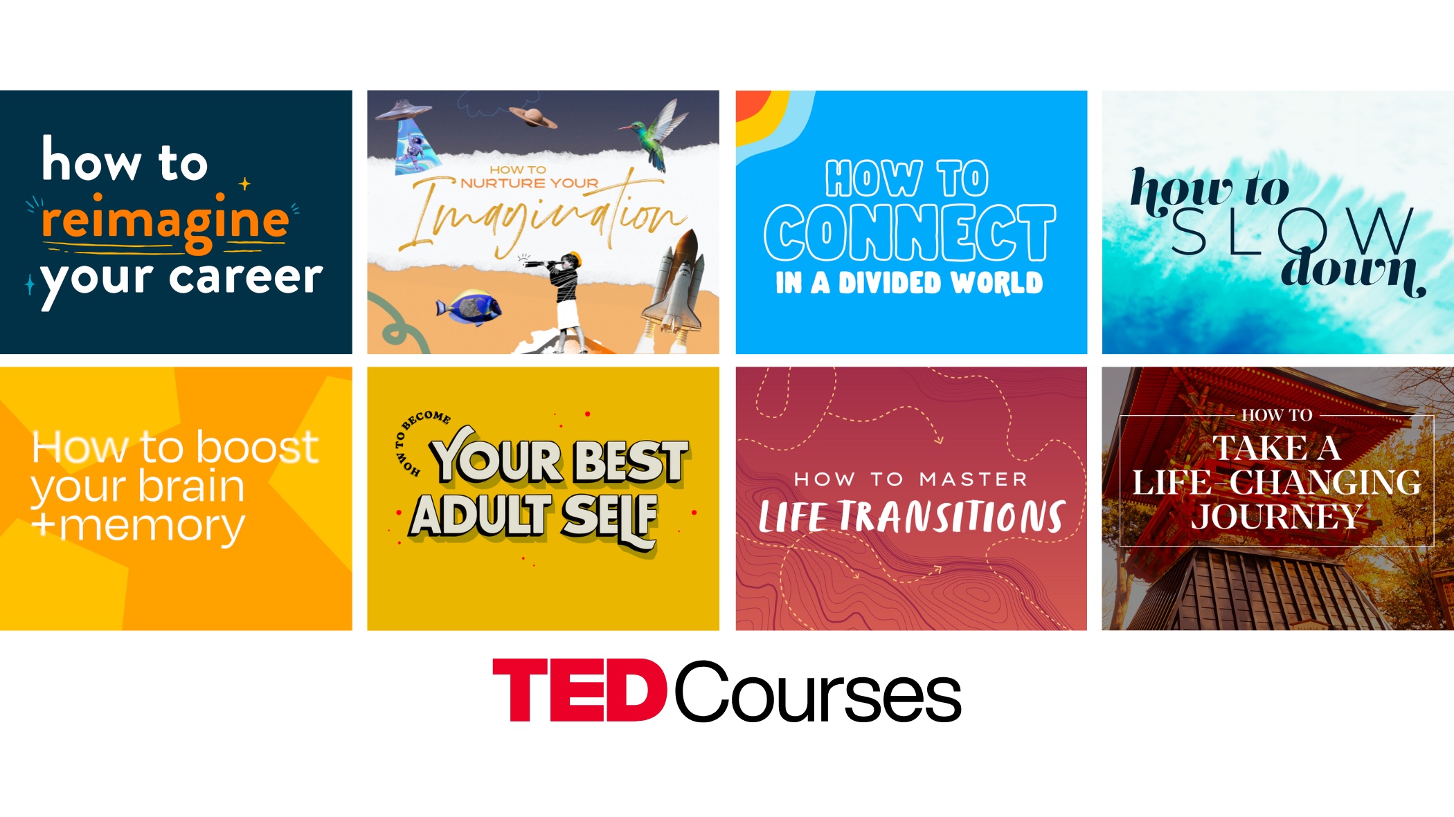 What is ted course